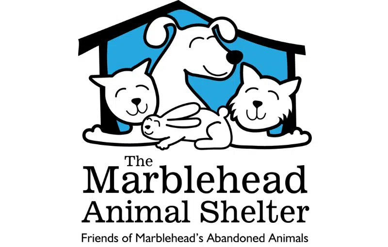 Marblehead Animal Shelter – Discover Marblehead